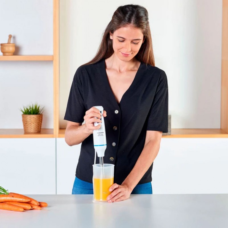 Taurus Robot 750 Easy Plus Inox 750W Hand Blender With Chopper jar ...