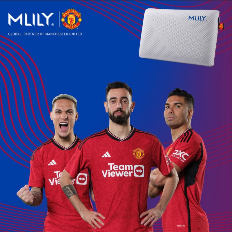 MLILY Classic Pillow 60x40 cm