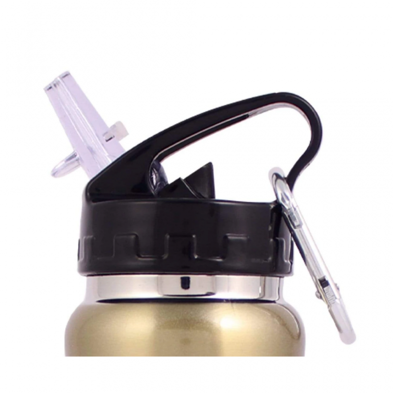 Wonderchef Gym Bot 500ml Single Wall Gold 2YW "O"