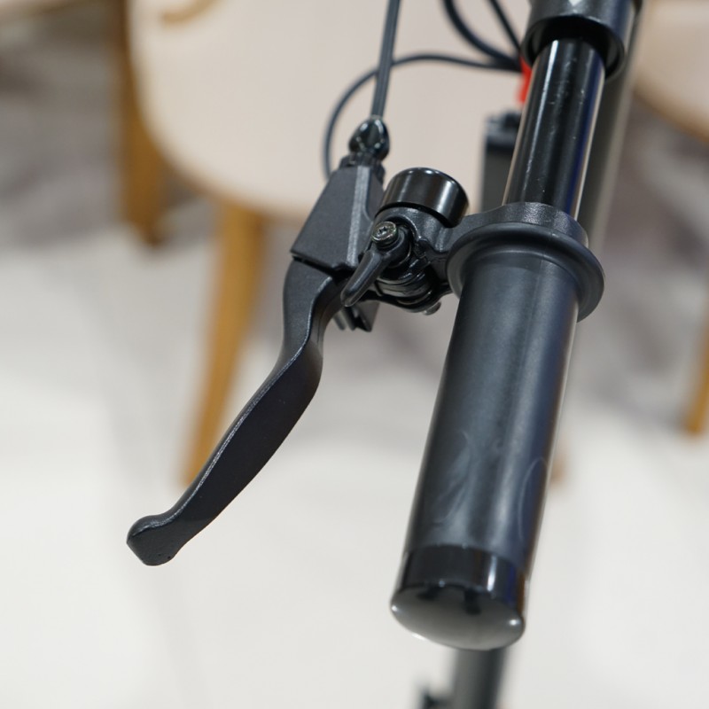 Speedway Alloy Black Trottinet Electric