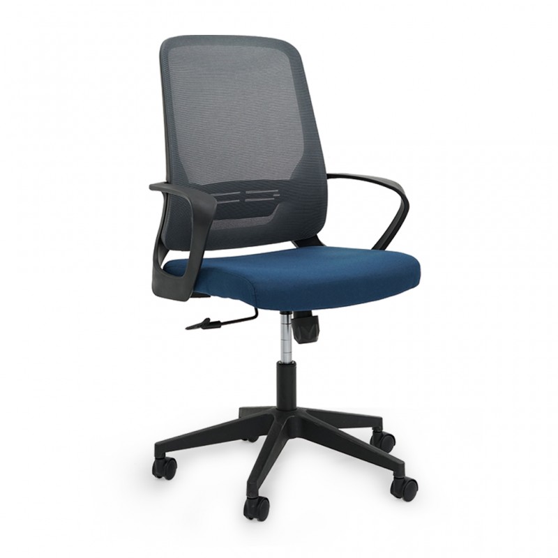 Ivyana Low Back Office Chair Grey Color/ Blue Seat