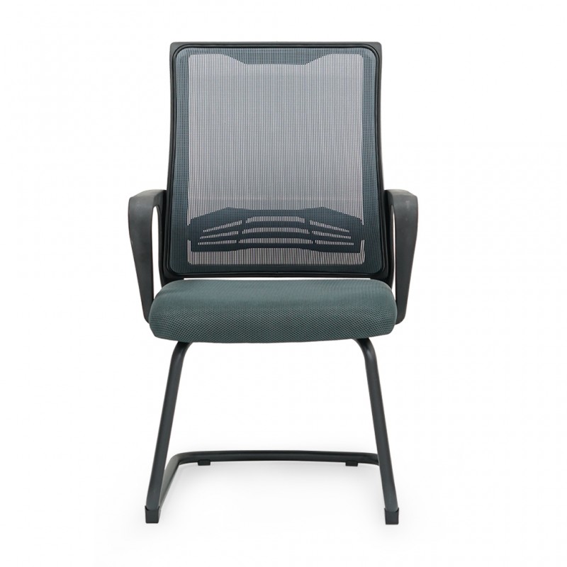 Ari Visitor Chair Grey Color