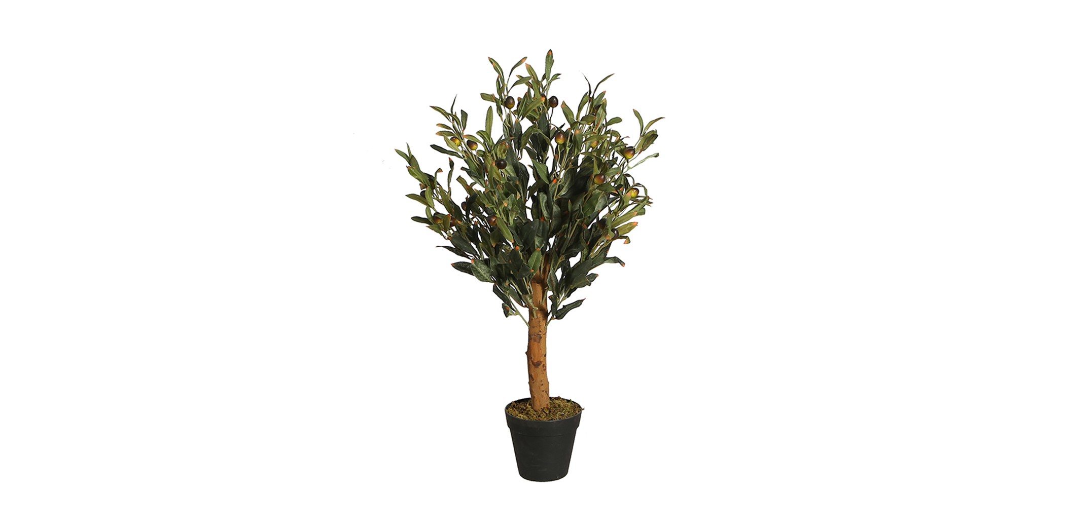 Olive Tree Artificial 65cm P.Pot 6"