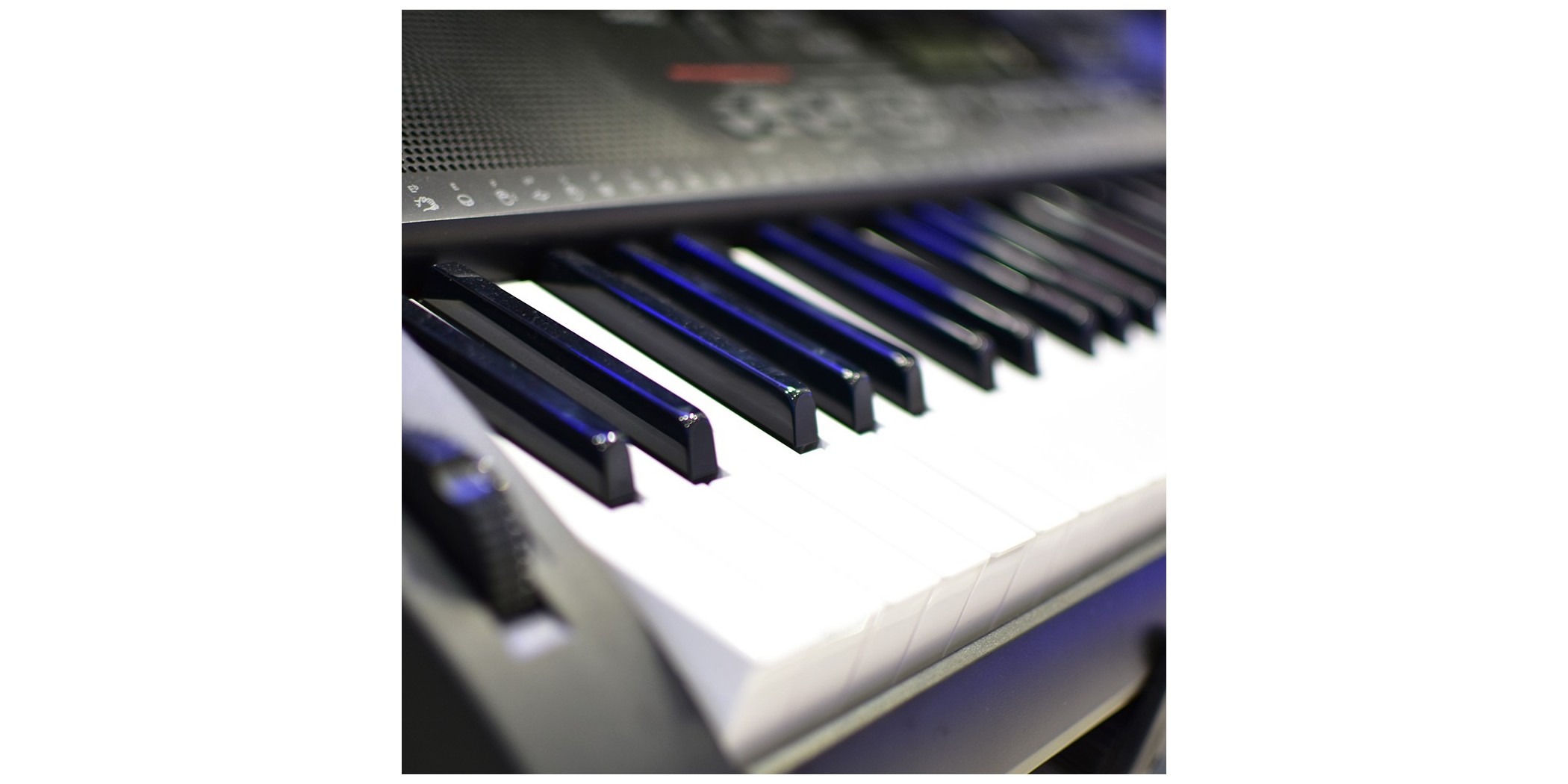 Casio CTK3000 Standard Keyboard