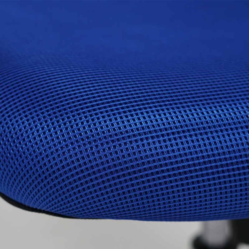 Orson Low Back Office Chair Blue Color