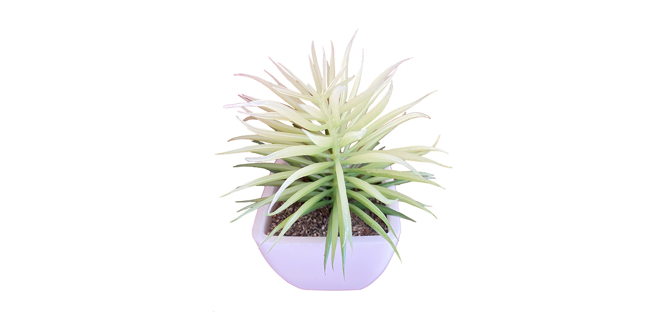 Artificial Mini Plant Tabletop Light Green W7xD7xH12 cm